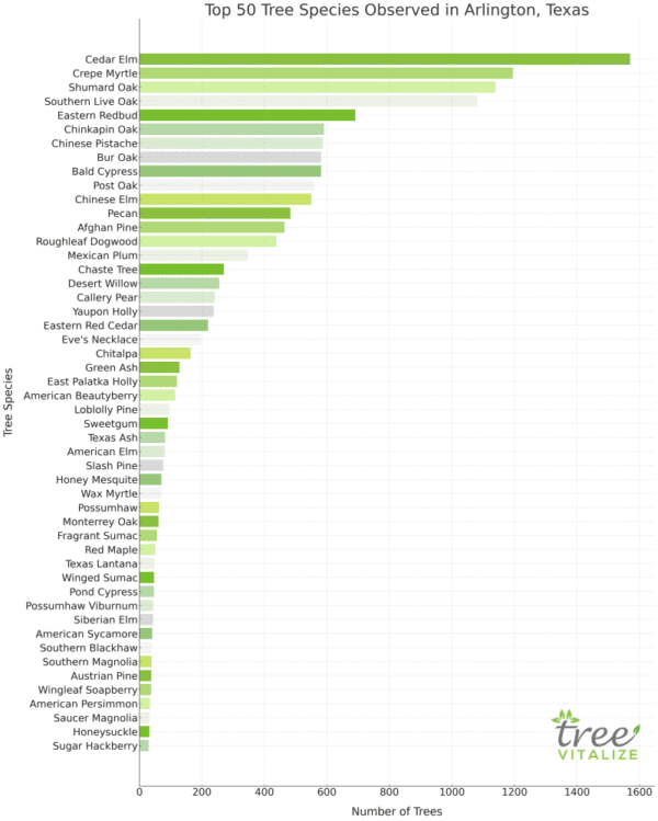 Common Tree Species, Planting Initiatives, and Diversity: An Analysis ...