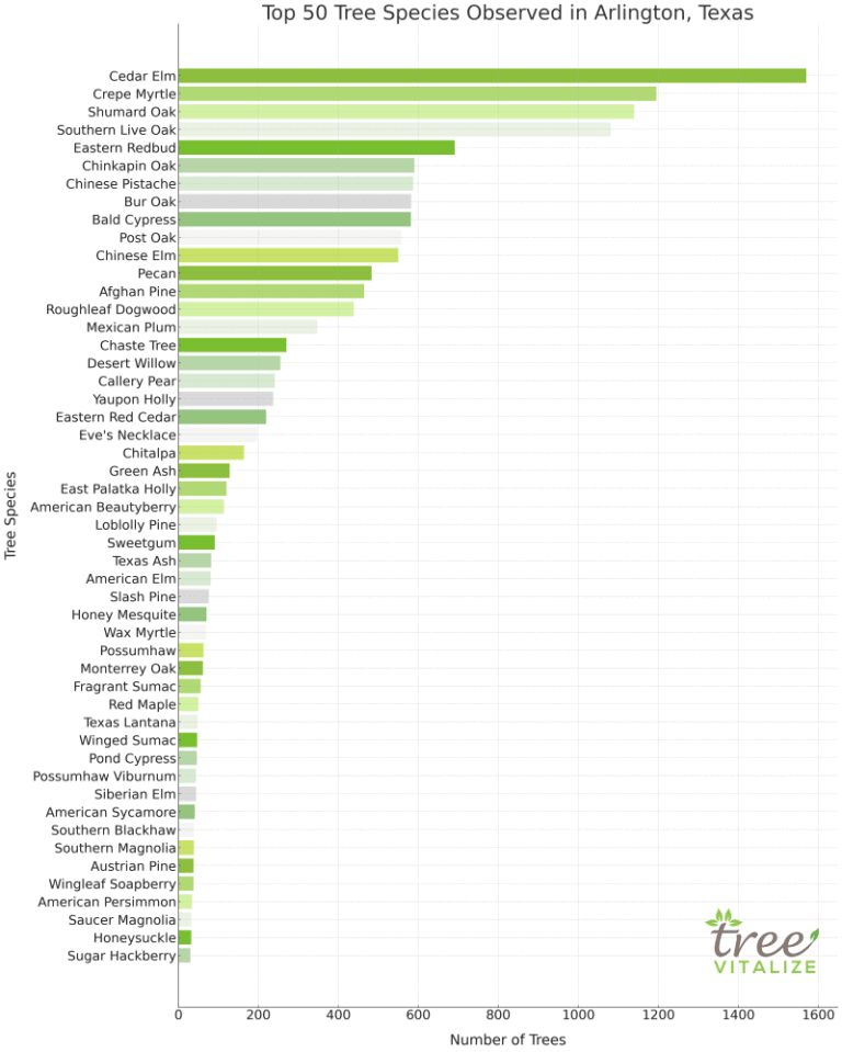 Common Tree Species, Planting Initiatives, and Diversity: An Analysis ...