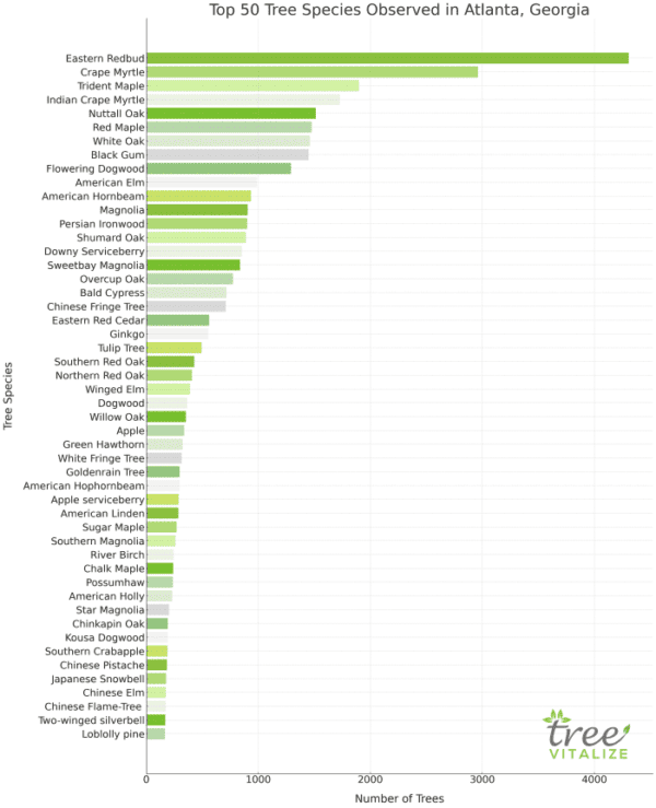 Common Tree Species, Planting Initiatives, and Diversity: An Analysis ...