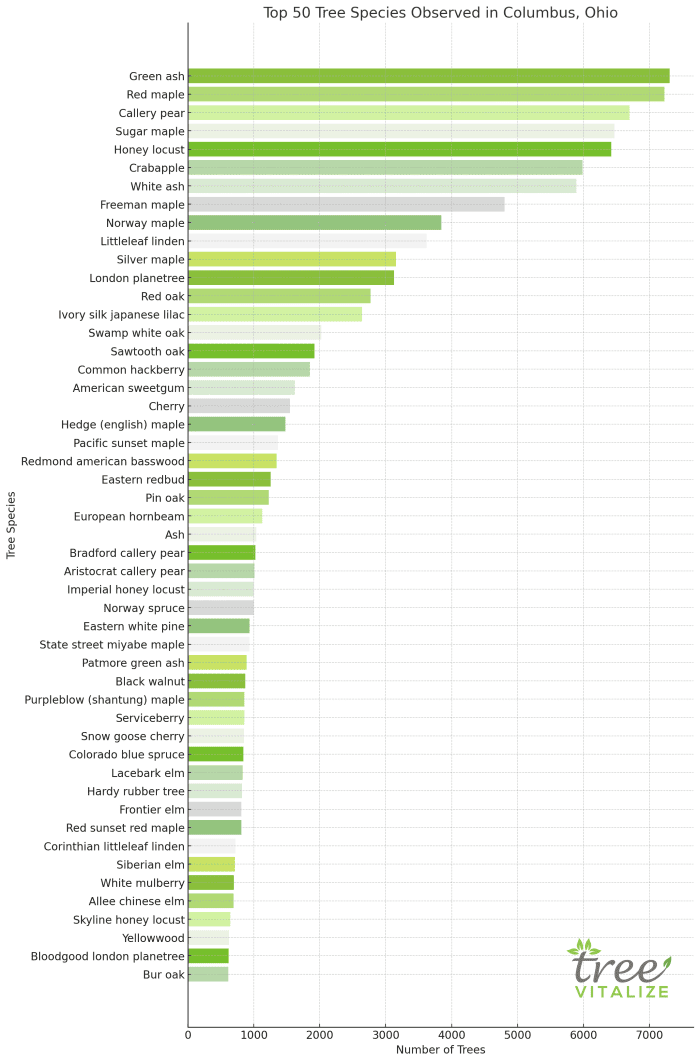 Common Tree Species, Planting Initiatives, and Diversity: An Analysis ...