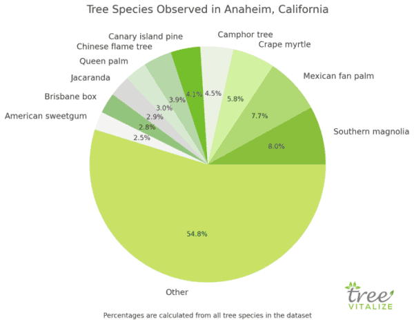 Common Tree Species, Planting Initiatives, and Diversity: An Analysis ...