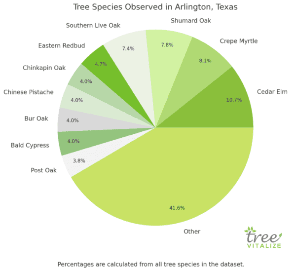 Common Tree Species, Planting Initiatives, and Diversity: An Analysis ...