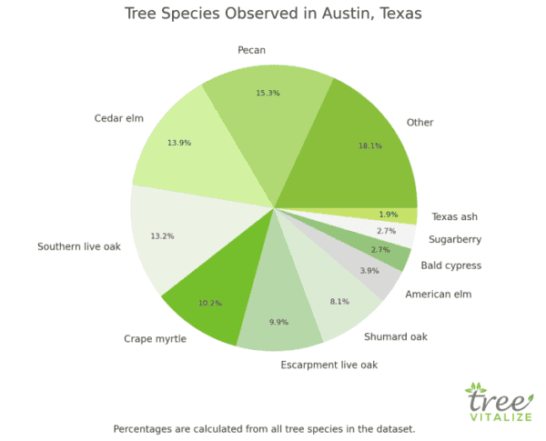 Common Tree Species, Planting Initiatives, and Diversity: An Analysis ...