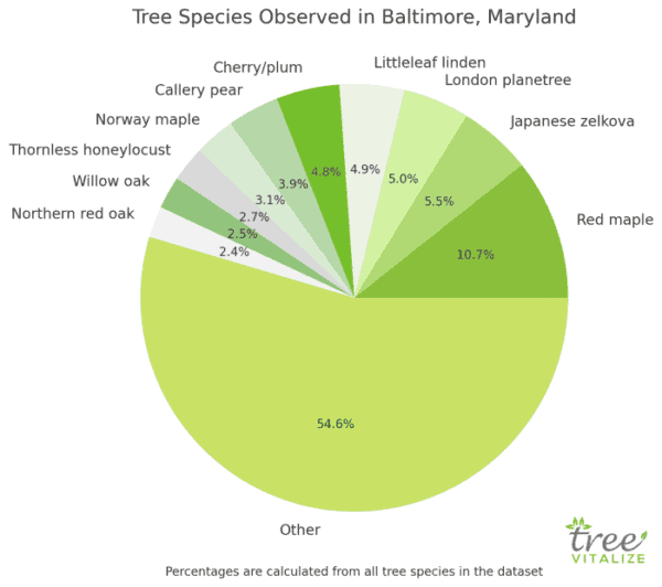 Common Tree Species, Planting Initiatives, and Diversity: An Analysis ...