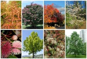 Planting Zones South Carolina - Hardiness, Gardening & Climate Zone