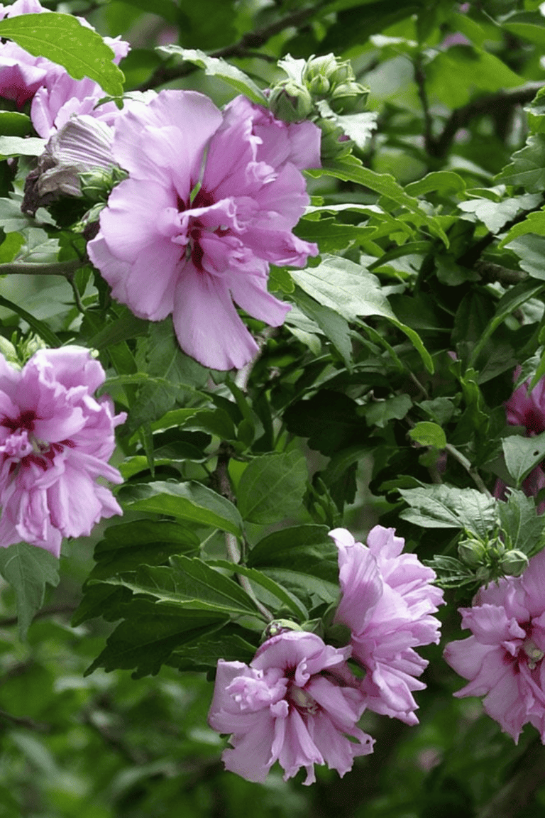 29 Enchanting Purple Flowering Trees to Brighten Your Landscape