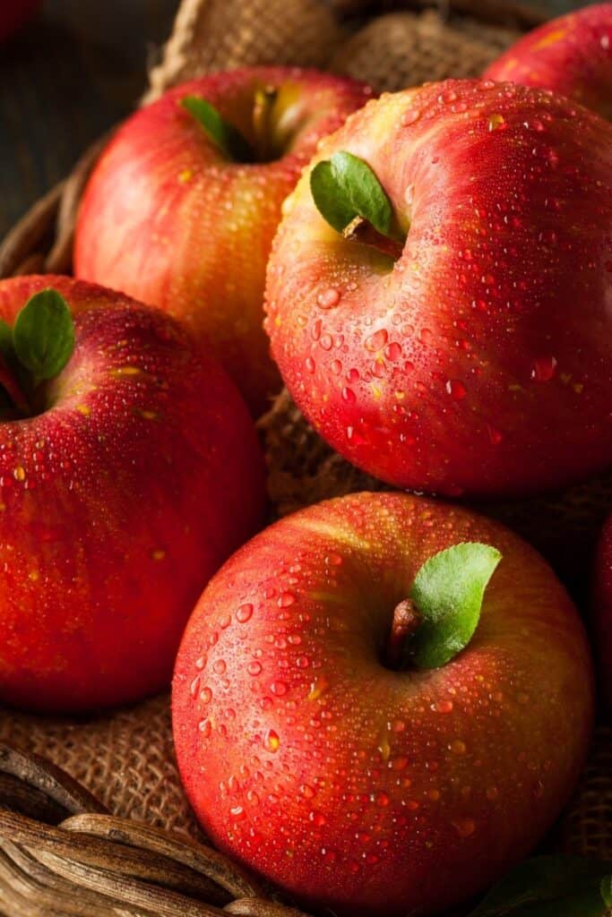 11 Fastest Growing Apple Trees That Bear Fruit Quickly (1st Year)