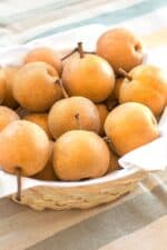 14 Fastest Growing Pear Trees That Bear Fruit Quickly (1st Year)