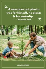 30 Powerful Tree Quotes to Inspire, Move & Motivate