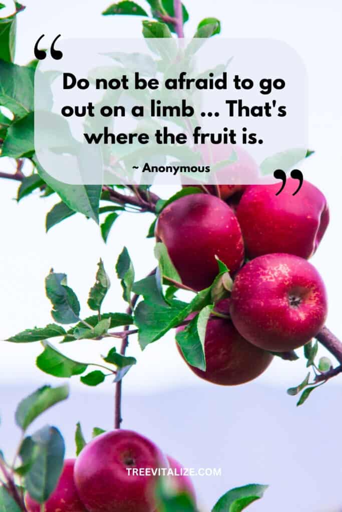 30 Powerful Tree Quotes to Inspire, Move & Motivate