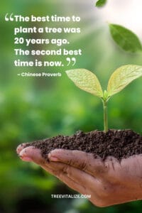 30 Powerful Tree Quotes to Inspire, Move & Motivate