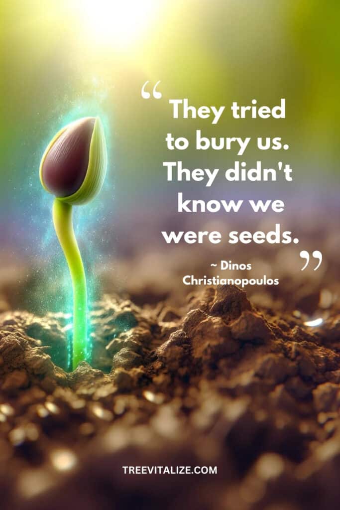 30 Powerful Tree Quotes to Inspire, Move & Motivate