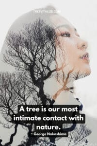 30 Powerful Tree Quotes to Inspire, Move & Motivate