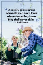 30 Powerful Tree Quotes to Inspire, Move & Motivate