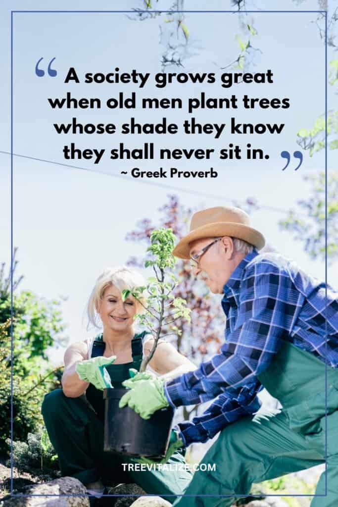 30 Powerful Tree Quotes to Inspire, Move & Motivate