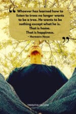 30 Powerful Tree Quotes to Inspire, Move & Motivate