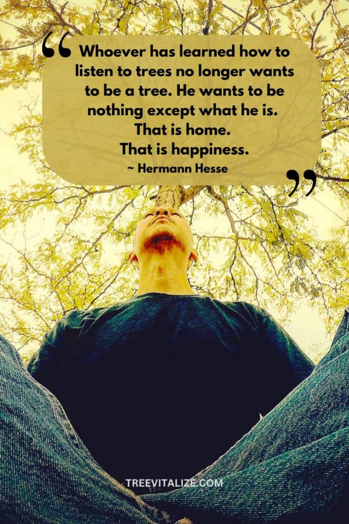 30 Powerful Tree Quotes to Inspire, Move & Motivate