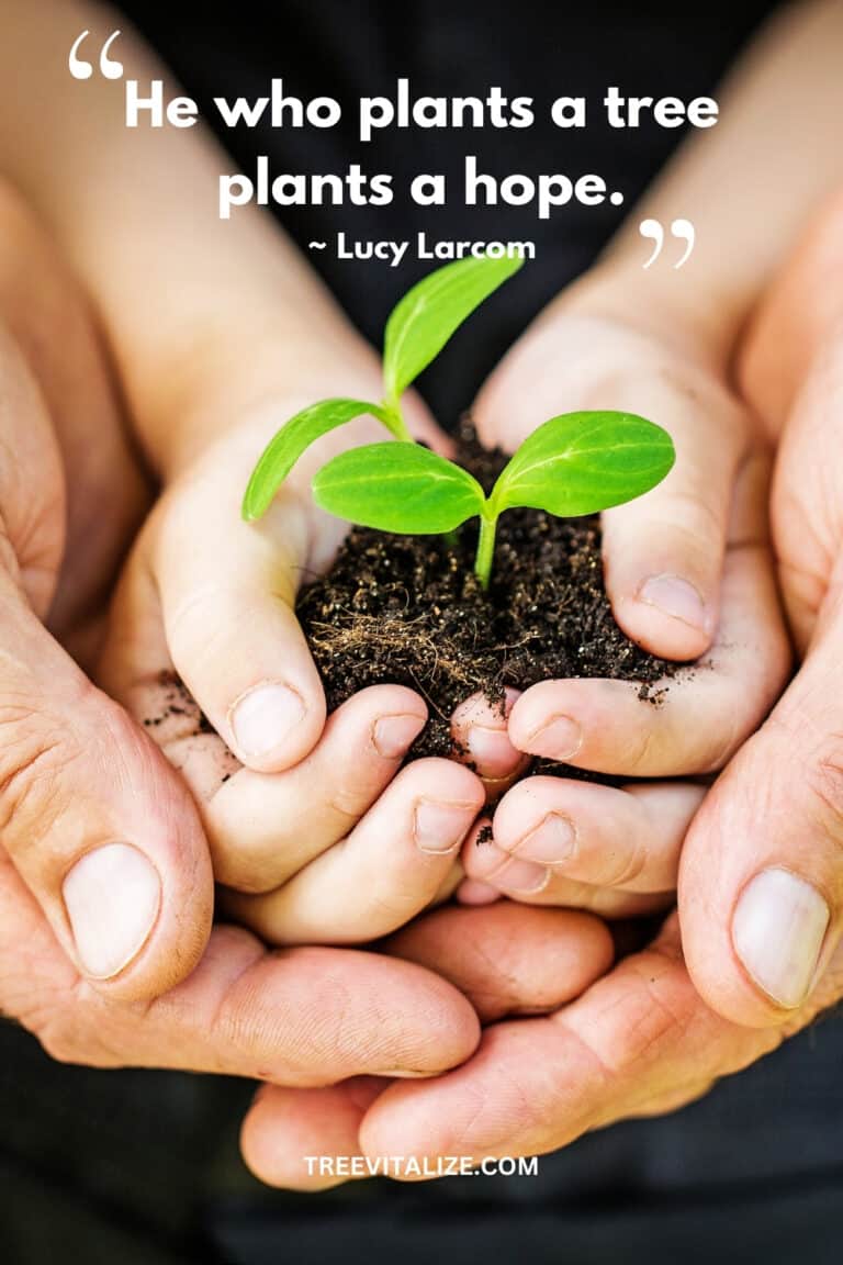 30 Powerful Tree Quotes to Inspire, Move & Motivate