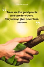 30 Powerful Tree Quotes to Inspire, Move & Motivate