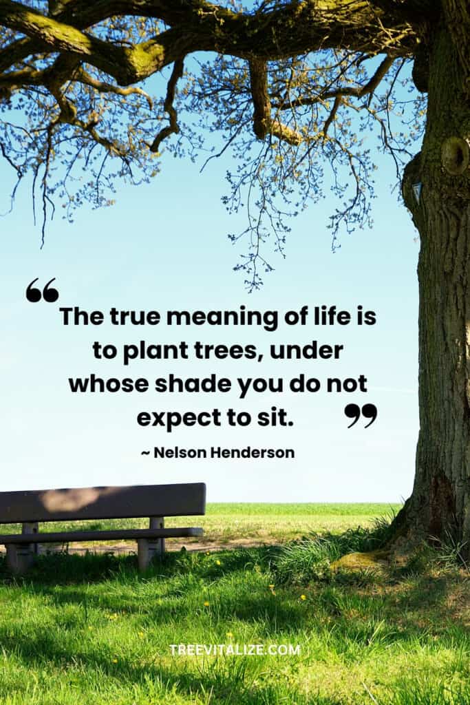 30 Powerful Tree Quotes to Inspire, Move & Motivate
