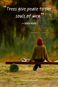 30 Powerful Tree Quotes to Inspire, Move & Motivate