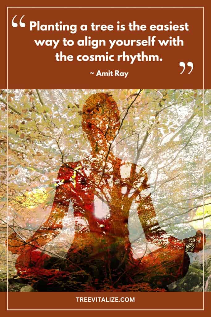 30 Powerful Tree Quotes to Inspire, Move & Motivate