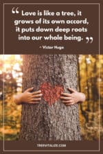 30 Powerful Tree Quotes to Inspire, Move & Motivate
