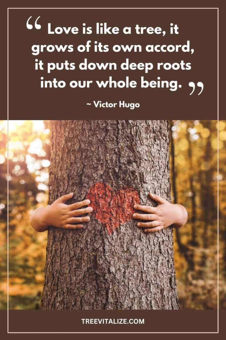 30 Powerful Tree Quotes to Inspire, Move & Motivate