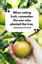 30 Powerful Tree Quotes to Inspire, Move & Motivate