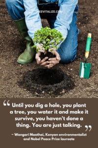 30 Powerful Tree Quotes to Inspire, Move & Motivate