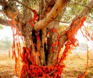 Discovering Enlightenment - The Historical Significance of the Sacred ...