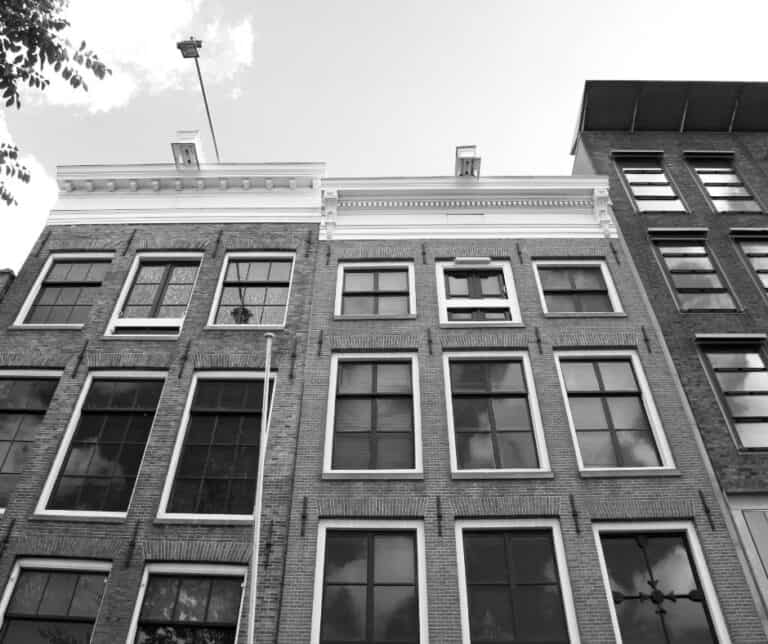 From Anne Frank’s Window - The Tree That Stood as a Beacon of Hope