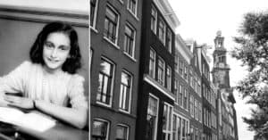 From Anne Frank’s Window - The Tree That Stood as a Beacon of Hope