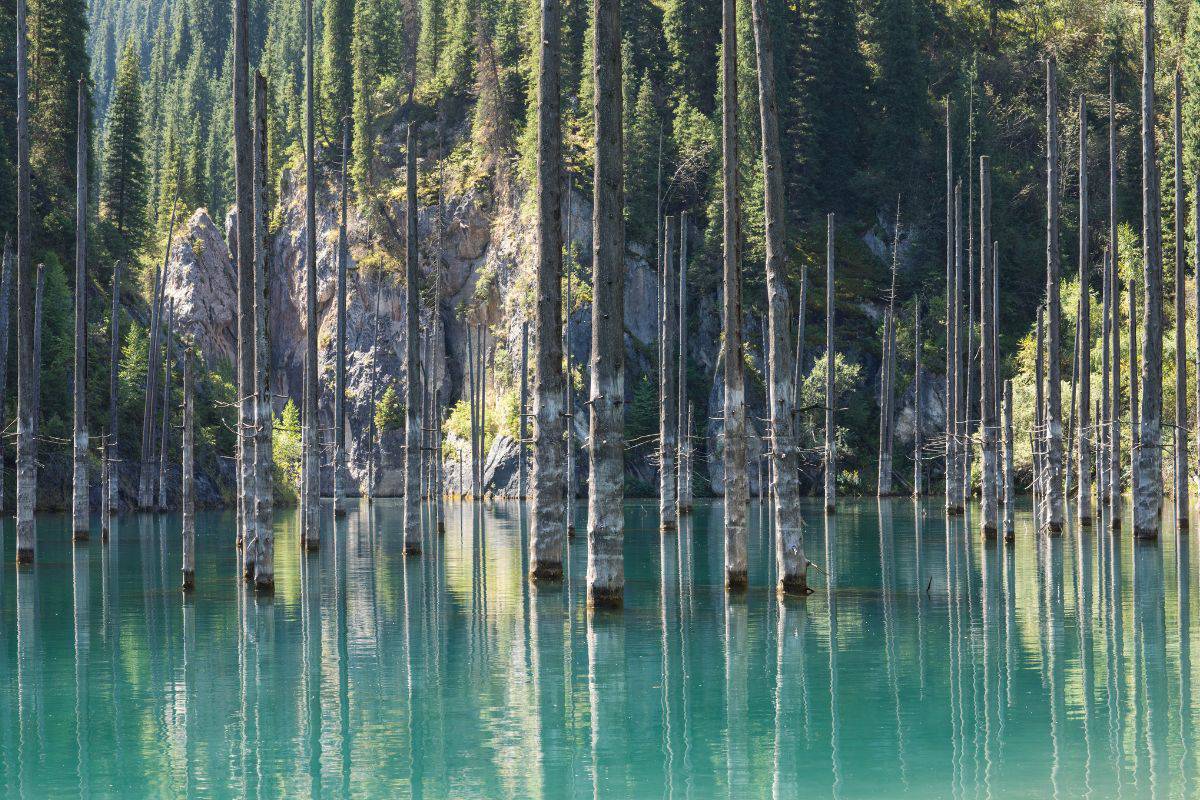 The Ghostly Sunken Forest of Lake Kaindy, Kazakhstan