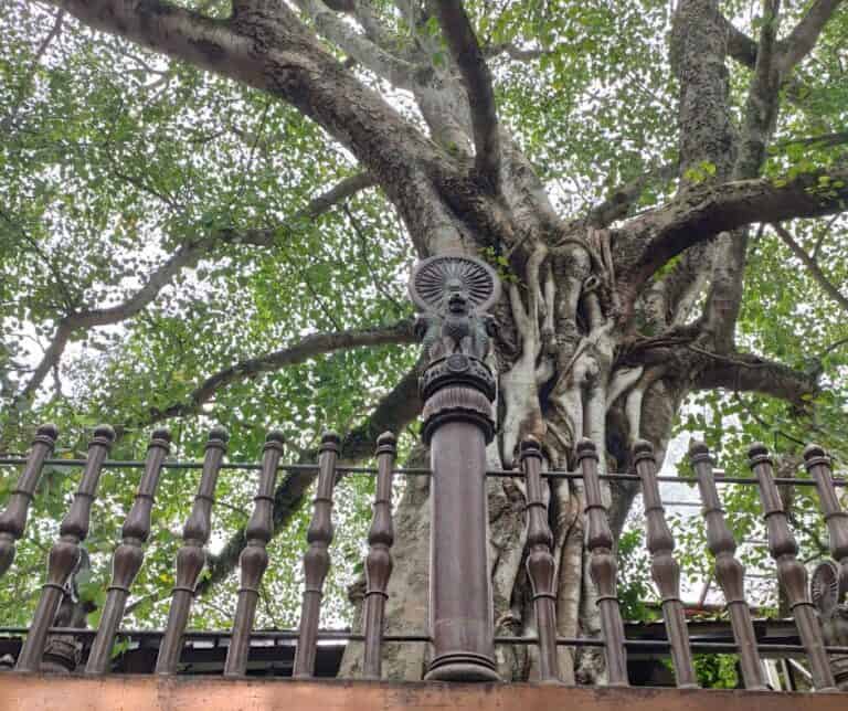 Discovering Enlightenment - The Historical Significance of the Sacred ...