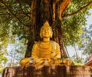 Discovering Enlightenment - The Historical Significance of the Sacred ...