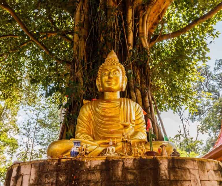 Discovering Enlightenment - The Historical Significance of the Sacred ...