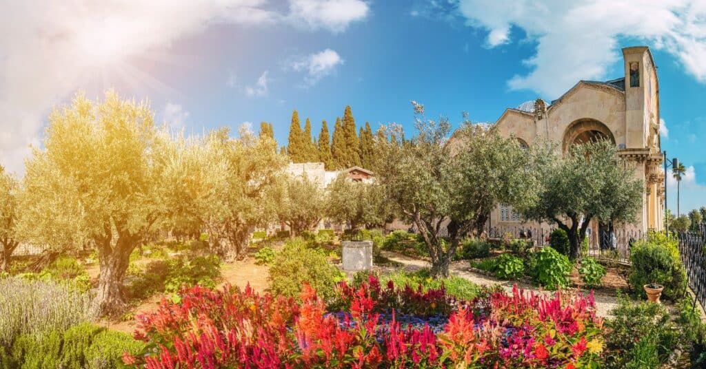 The Tree of Ténéré – The Unfortunate End of the World’s Loneliest Tree