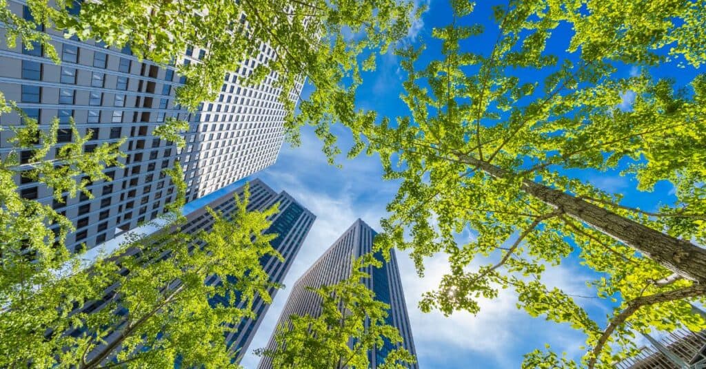 24 Incredible Ways Trees Transform Our Lives & Planet - Tree Vitalize