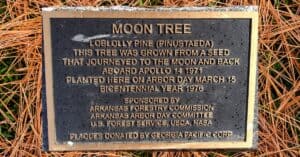 From Lunar Orbit to Earth’s Soil - The Astonishing Journey of the Moon ...