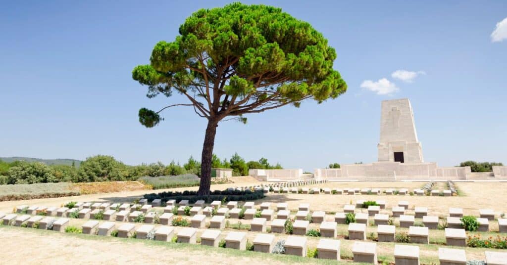 Echoes of Gallipoli - The Lone Pine’s Stirring Legacy of Remembrance