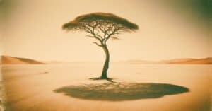 The Tree of Ténéré – The Unfortunate End of the World’s Loneliest Tree