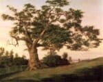 Discover the Legacy of the Charter Oak - America's Historic Symbol of ...
