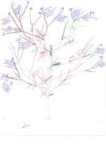 The Incredible Tree of 40 Fruit - Art, Nature, and Science in One!