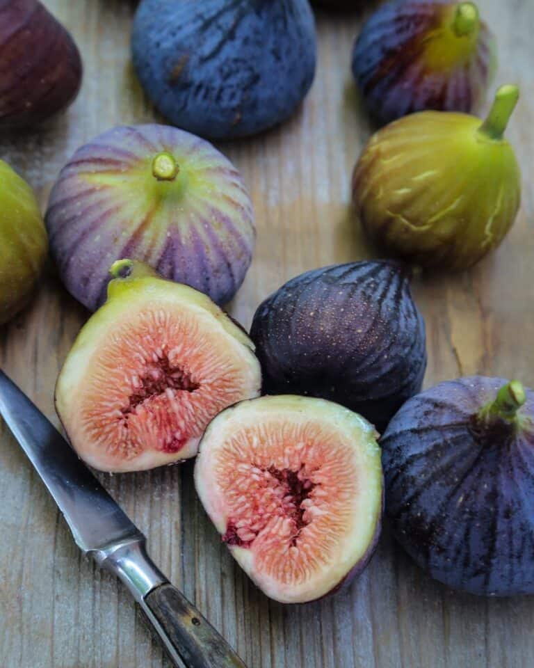 9 Best Fig Trees To Grow For Fruit In Less Time (1st Year)