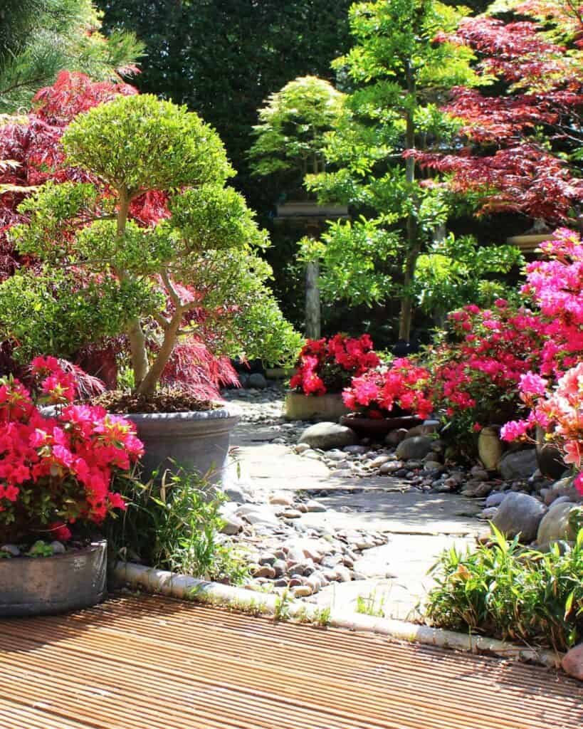 Create Zen in Your Backyard With the Best Shrubs & Trees for a Japanese ...