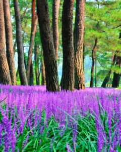 29 Best Plants for Under Oak Trees To Renew Your Shade Garden