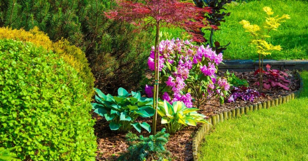 41 Best Plants for Under Maple Trees (Proven To Thrive)