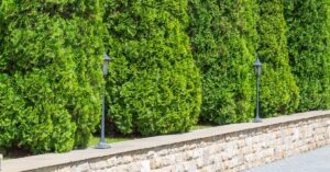 Planting Zones New Hampshire - Hardiness, Gardening & Climate Zone