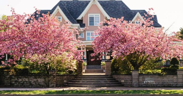 33 Small Trees & Shrubs For The Front Of Your House (Make A Lasting ...